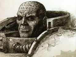 考斯之战（1） - 哔哩哔哩