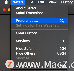 修复Mac上的“ Safari无法找到服务器”错误的方法 - 哔哩哔哩