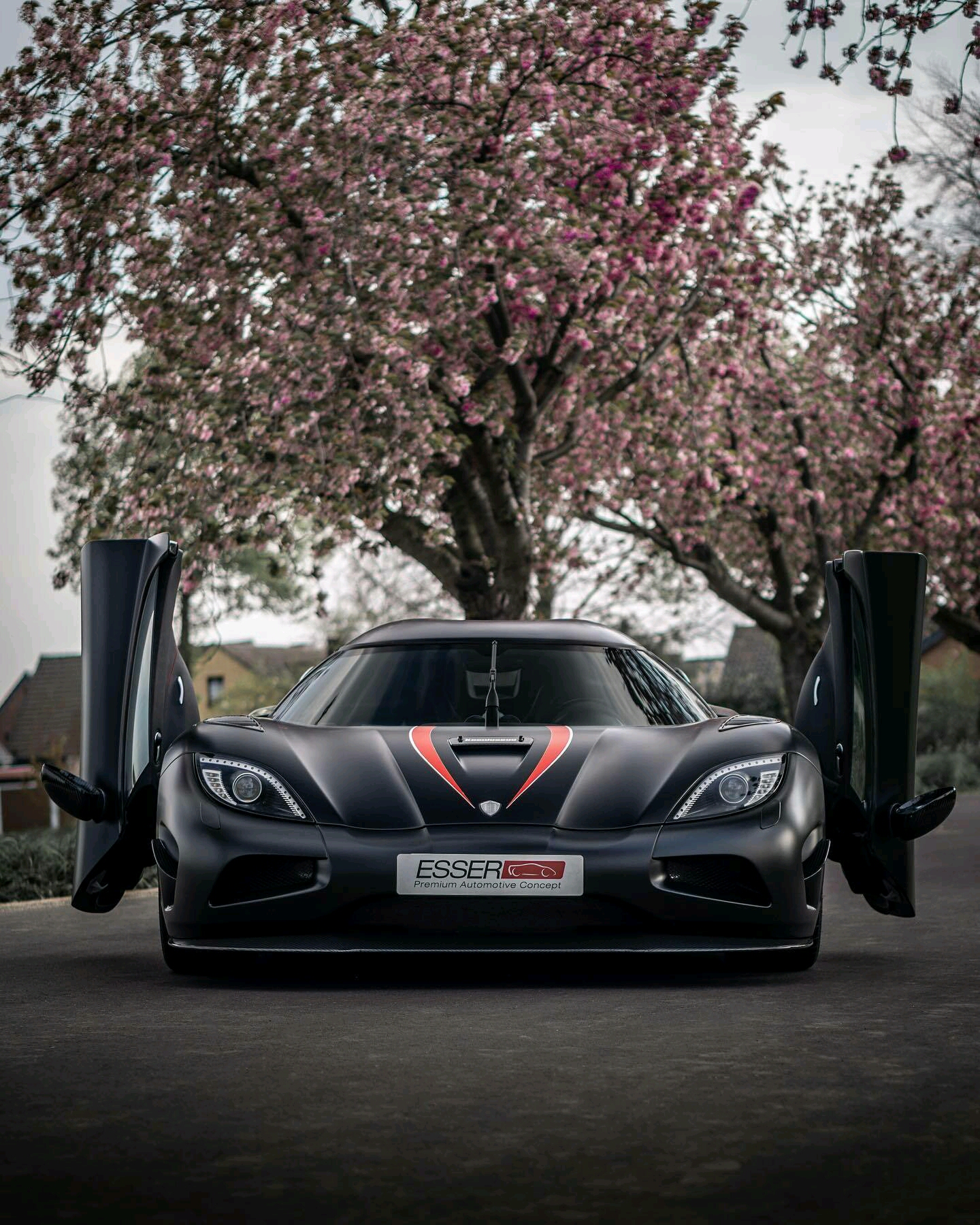 德国 柯尼塞格Agera X 7088 - 哔哩哔哩