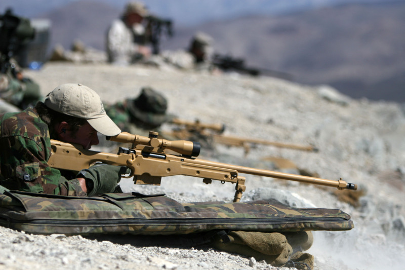 并不是所有的绿狙都叫做AWM，AI产品识别（一） - 哔哩哔哩