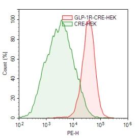 GLP-1R/CRE Luc报告基因 HEK293 细胞系 - 哔哩哔哩