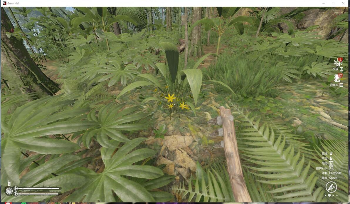 绿色地狱 攻略 Green Hell 剧情模式 （菜鸟向）（上） - 哔哩哔哩