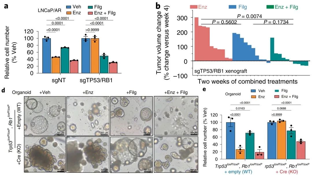 Nature Cancer | 类器官助力研究前列腺癌耐药机制研究 - 哔哩哔哩