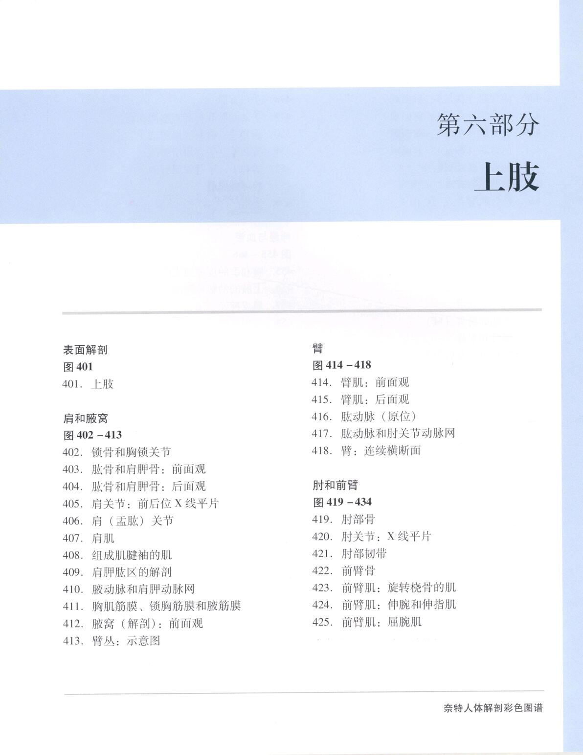 《奈特人体解剖彩色图谱 第3版》Frank H. Netter原著；王怀经主译&R - 哔哩哔哩