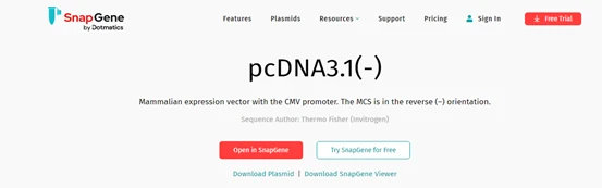 Snapgene|如何获取质粒载体的图谱和序列 - 哔哩哔哩
