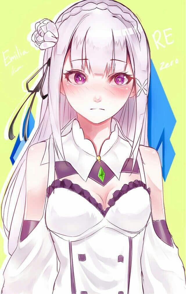 RE0艾米利亚图集（20） - 哔哩哔哩