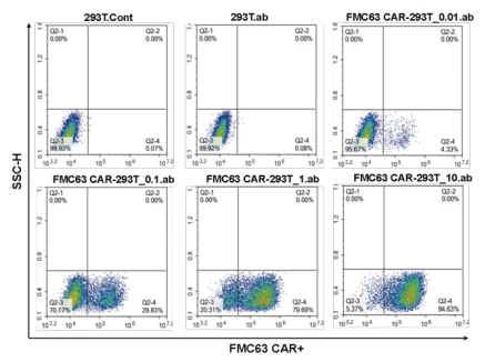 免疫细胞疗法｜关于CAR分子设计与慢病毒包装的应用知多少？ - 哔哩哔哩