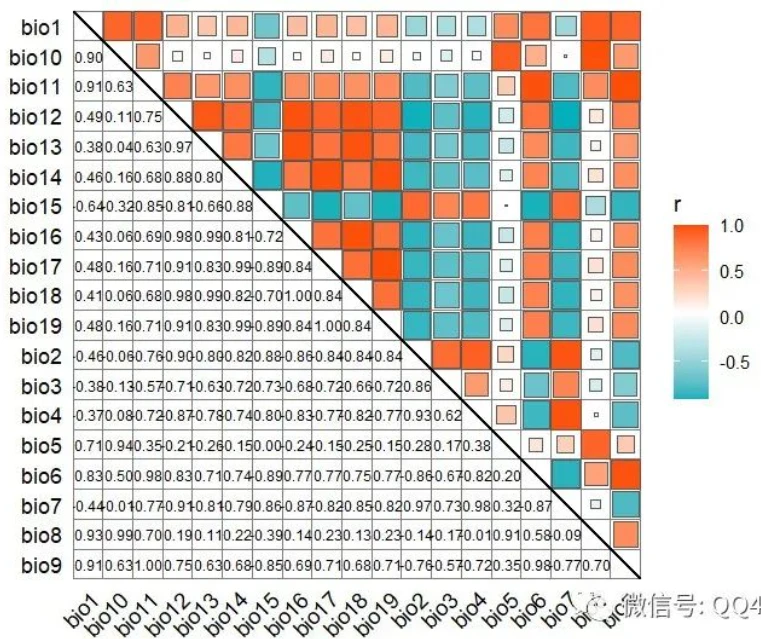 基于R语言平台Biomod2模型的物种分布建模与可视化分析教程（发文利器）2024 - 哔哩哔哩