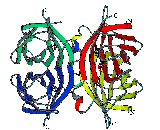 ATF4重组蛋白：细胞应激响应的关键调控者—艾普蒂 - 哔哩哔哩