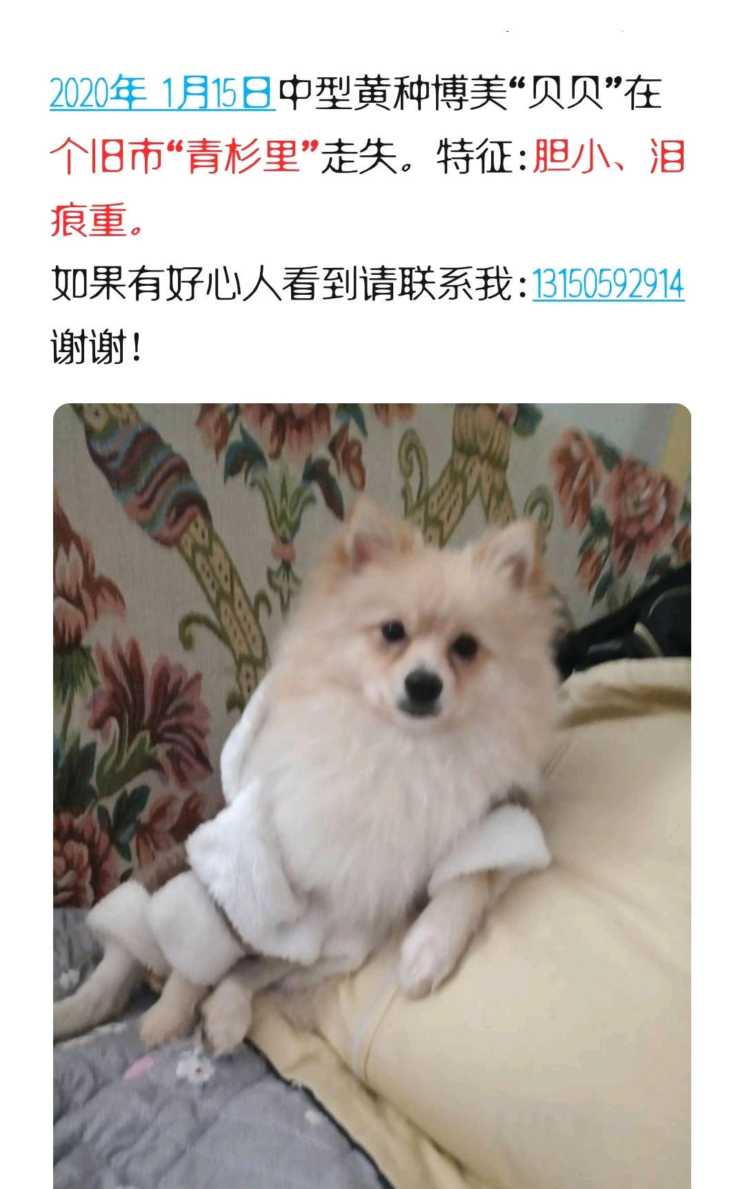 帮忙转发一下。 哔哩哔哩