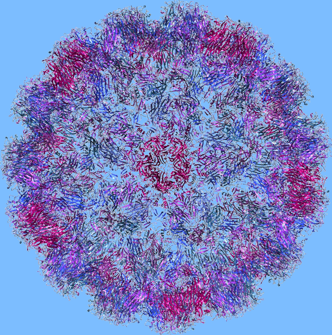 经典的多瘤病毒——SV40 - 哔哩哔哩