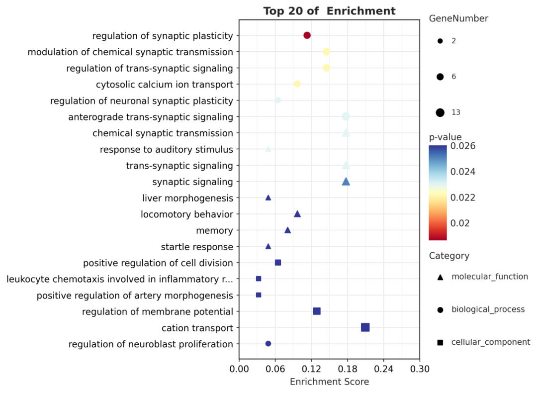 探“云”指南 | 欧易云GO/KEGG气泡图制作秘籍 - 哔哩哔哩
