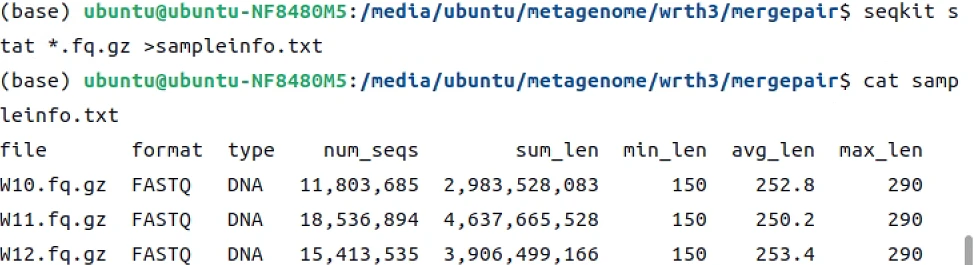 NCycDB使用流程笔记 - 哔哩哔哩