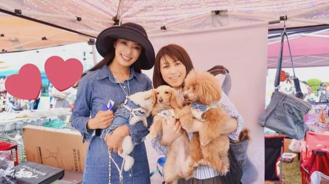 明星档案 第95期 小早川怜子 Reiko Kobayakawa 个人资料简介及作品写真图片! 哔哩哔哩