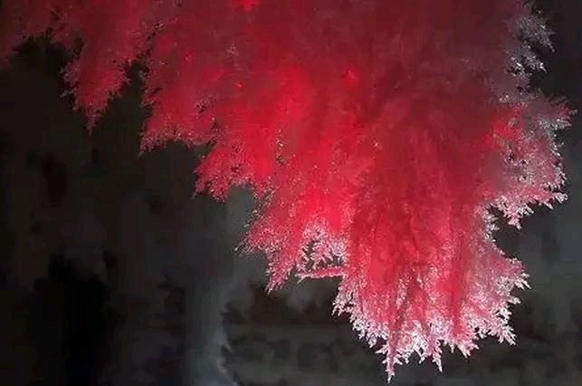 scp009 - 哔哩哔哩