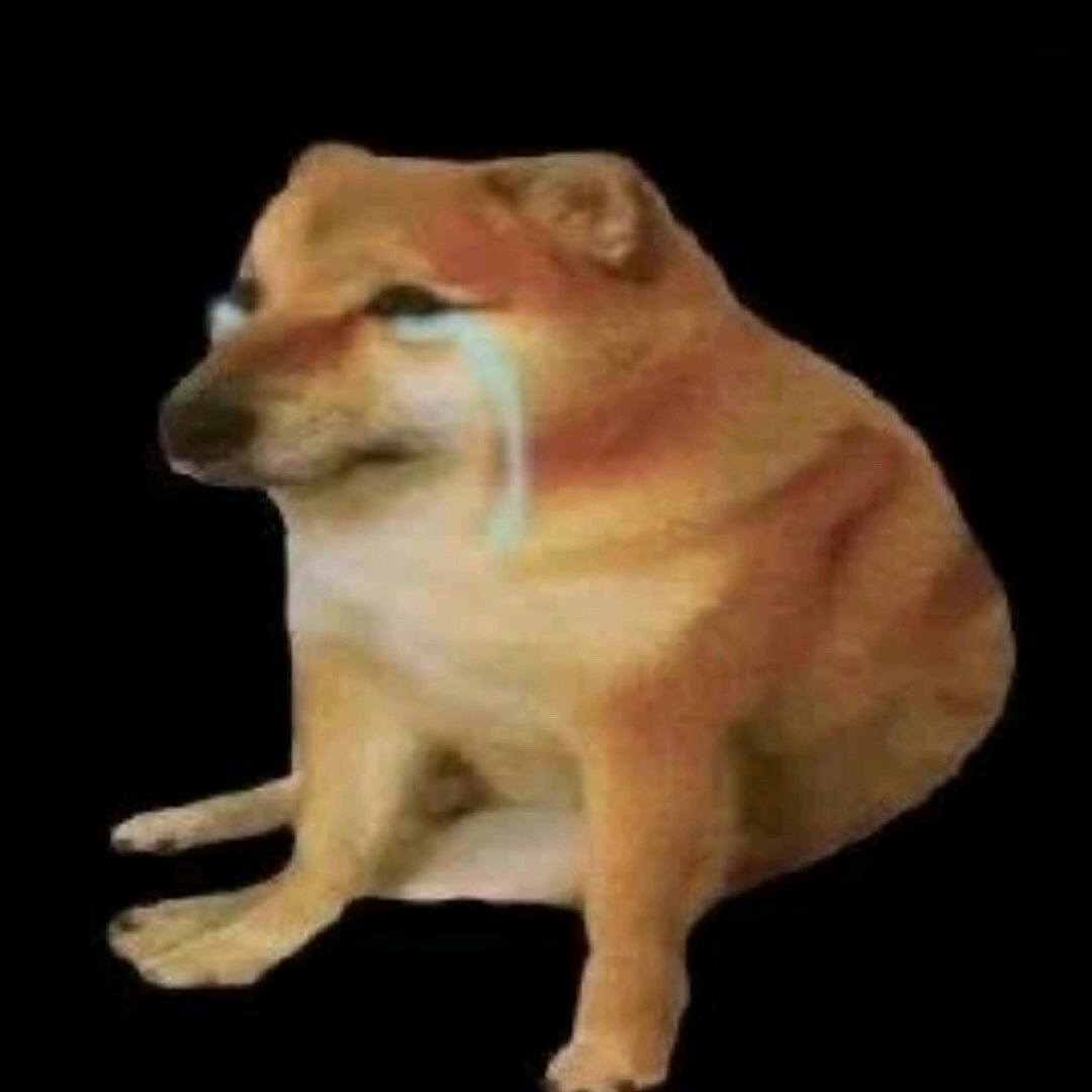 这里是关于Cheems的一些图片 - 哔哩哔哩