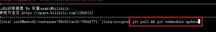 【AI绘画】LoRA 在线云端训练教程 AutoDL - 哔哩哔哩