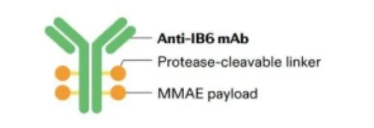 Sigvotatug vedotin（SGN-B6A) 靶向整合素β6（ITGB6）的抗体偶联药物（ADC） - 哔哩哔哩