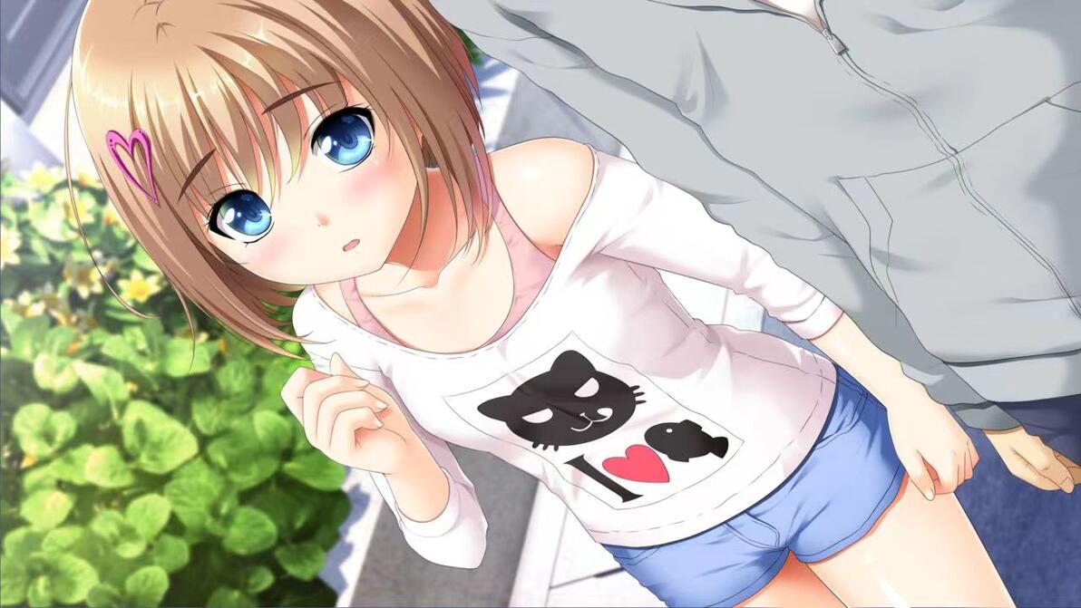 社团推荐5：Tanuki soft - 哔哩哔哩