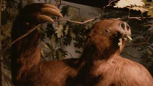 SCP-1405-史前大地懒 - 哔哩哔哩