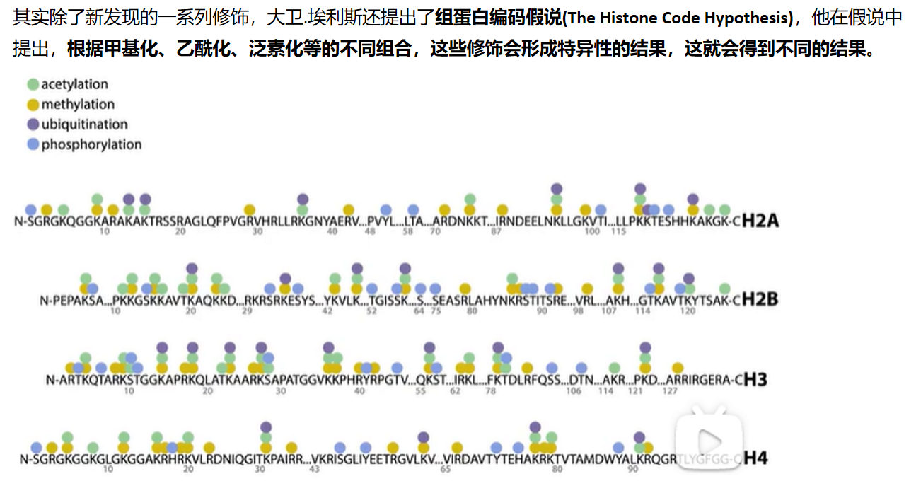 MIT 分子生物学 part2 6.6 The Histone Code Hypothesis - 哔哩哔哩