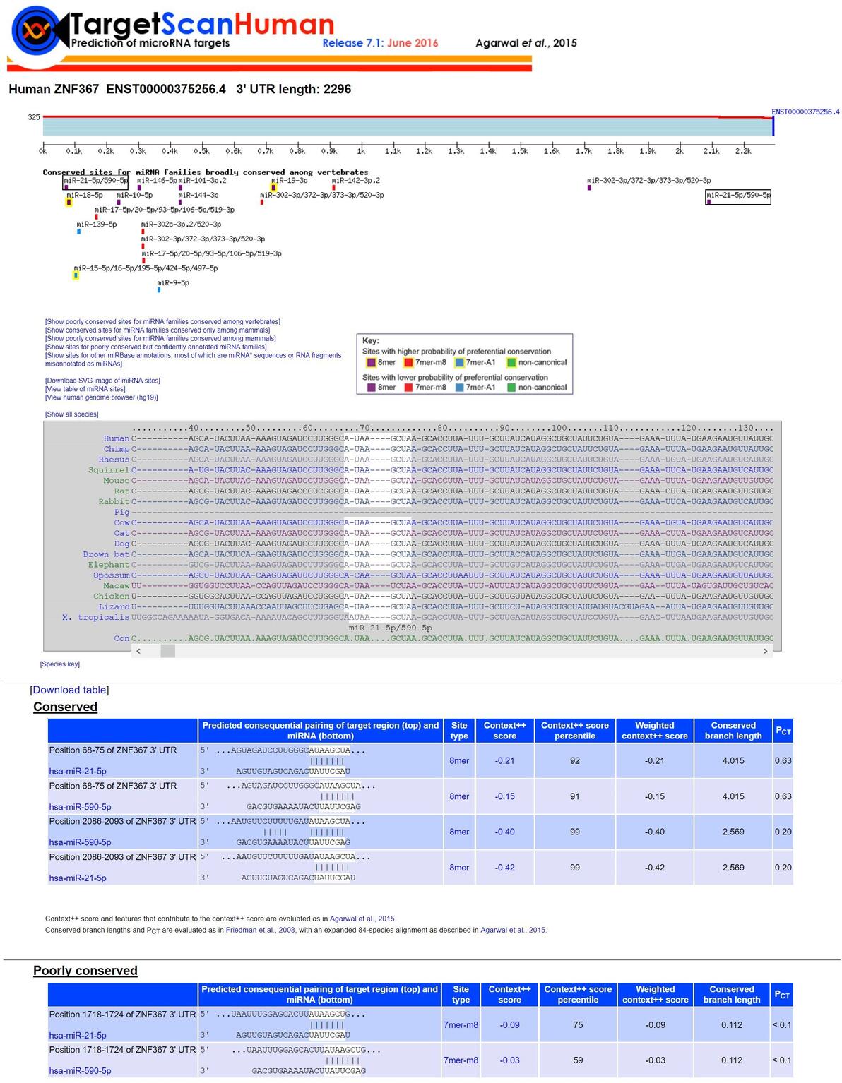 miRNA靶基因及其结合位点的预测|TargetScan - 哔哩哔哩