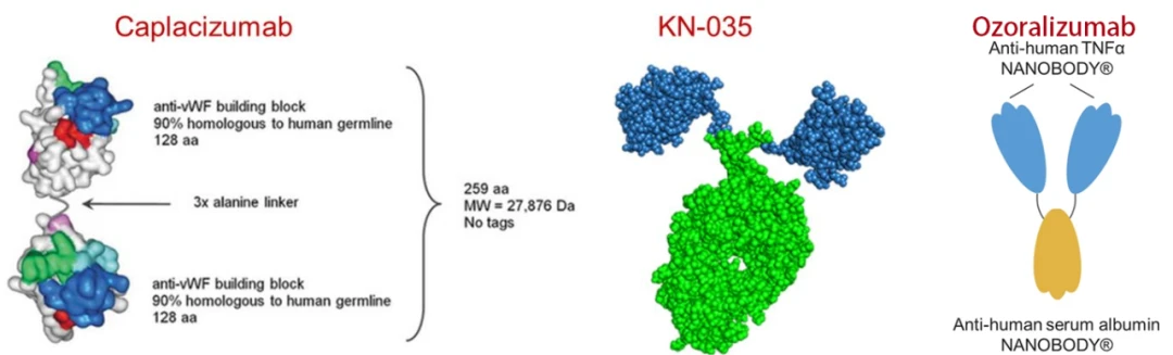 纳米抗体药物研究最新进展 - 哔哩哔哩