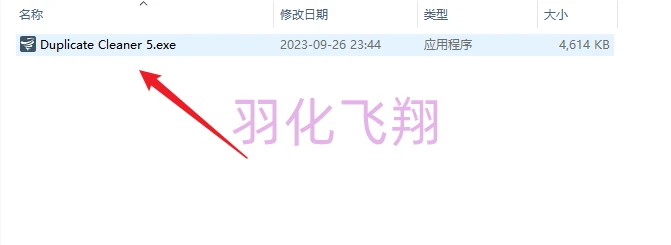 Duplicate Cleaner Pro 5.20.1软件安装教程(附软件下载地址) - 哔哩哔哩