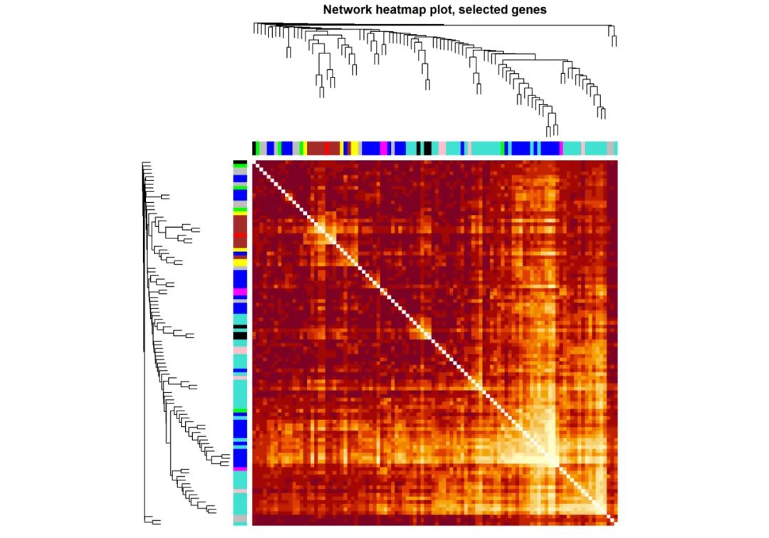 WGCNA加权基因共表达网络分析 - 哔哩哔哩
