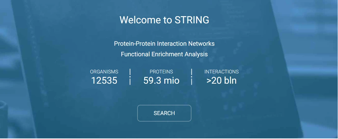 多图预警！PPI不求人，手把手带你学会在线绘制PPI！ - 哔哩哔哩