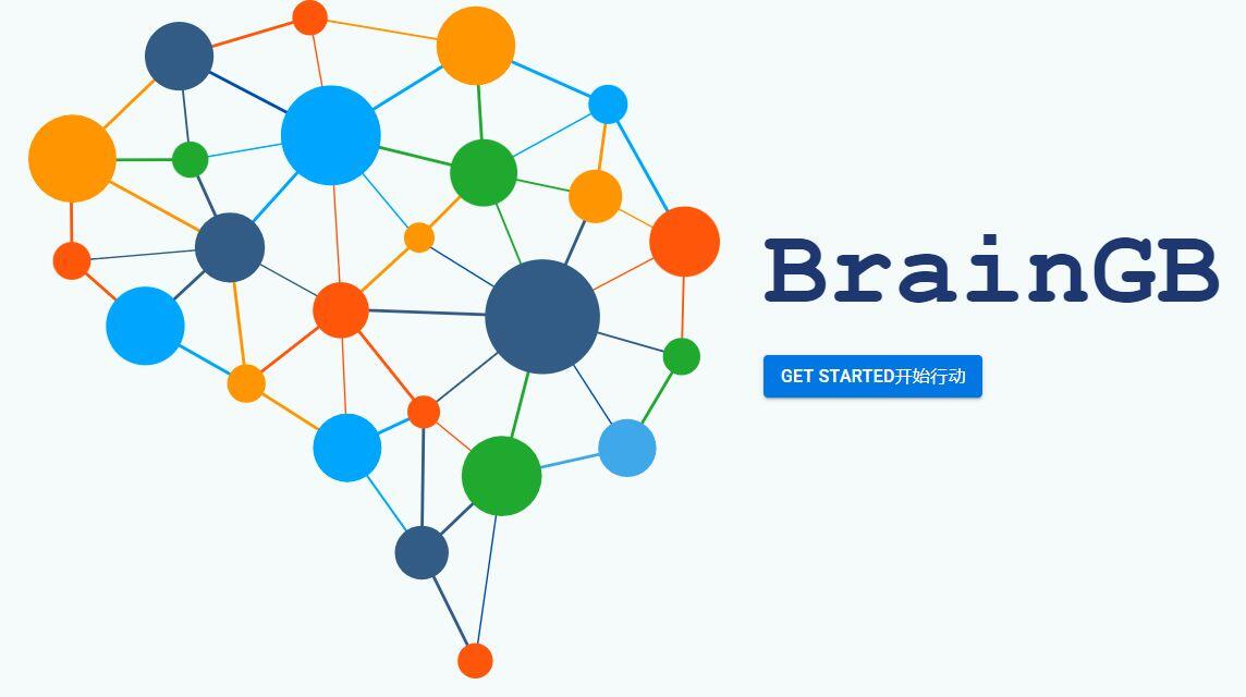 《论文解读》BrainGB：用于脑网络分析的图神经网络基准框架 - 哔哩哔哩