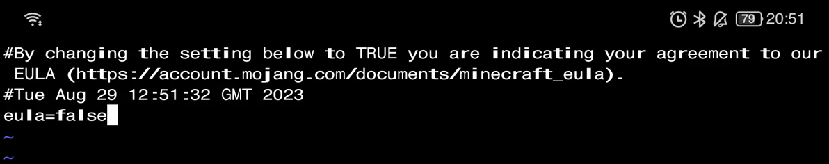 Minecraft服务器：建立在安卓Termux下的一种尝试 - 哔哩哔哩