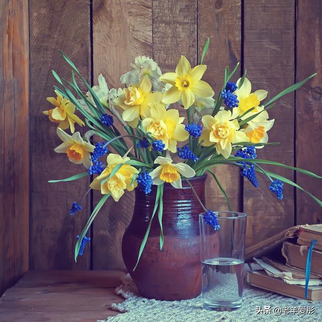 Python水仙花数的编程讲解python实战精选：水仙花数 Csdn博客