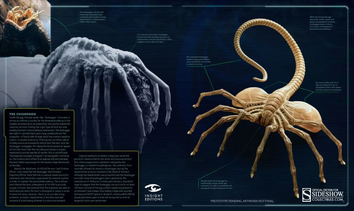 异形（Alien）的进化史（官方设定集） - 哔哩哔哩