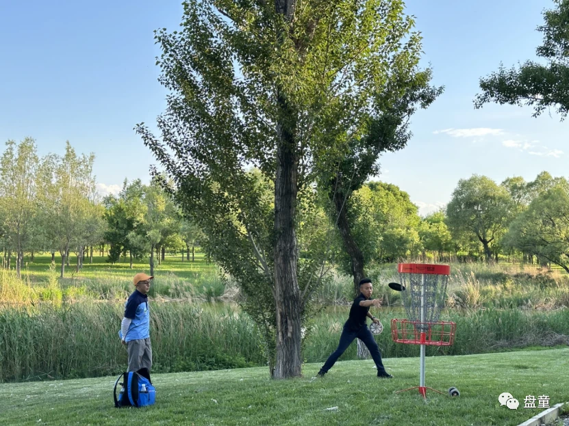 飞盘高尔夫：初学者指南助您快速入门！ - 哔哩哔哩