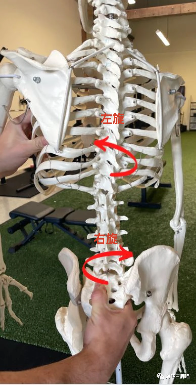「PRI」前内链（AIC）-自学系列 - 哔哩哔哩
