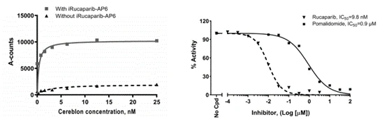 PARP蛋白及其检测方法-BPS Bioscience - 哔哩哔哩