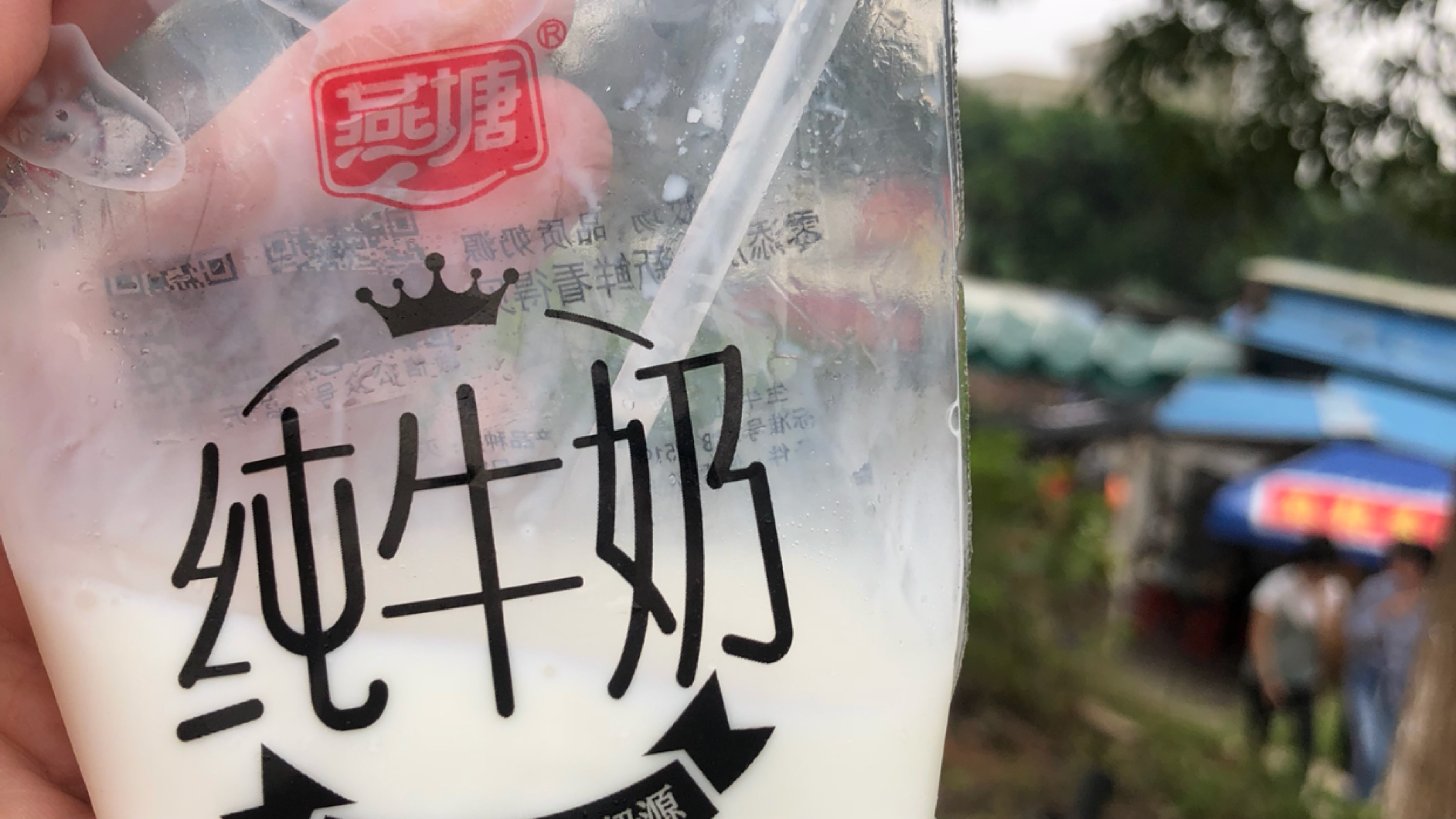 鲜奶真的比纯牛奶更好喝?? 哔哩哔哩