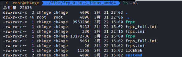 内网隧道技术之frp：简单代理、msf反弹shell、CS联动msf - 哔哩哔哩