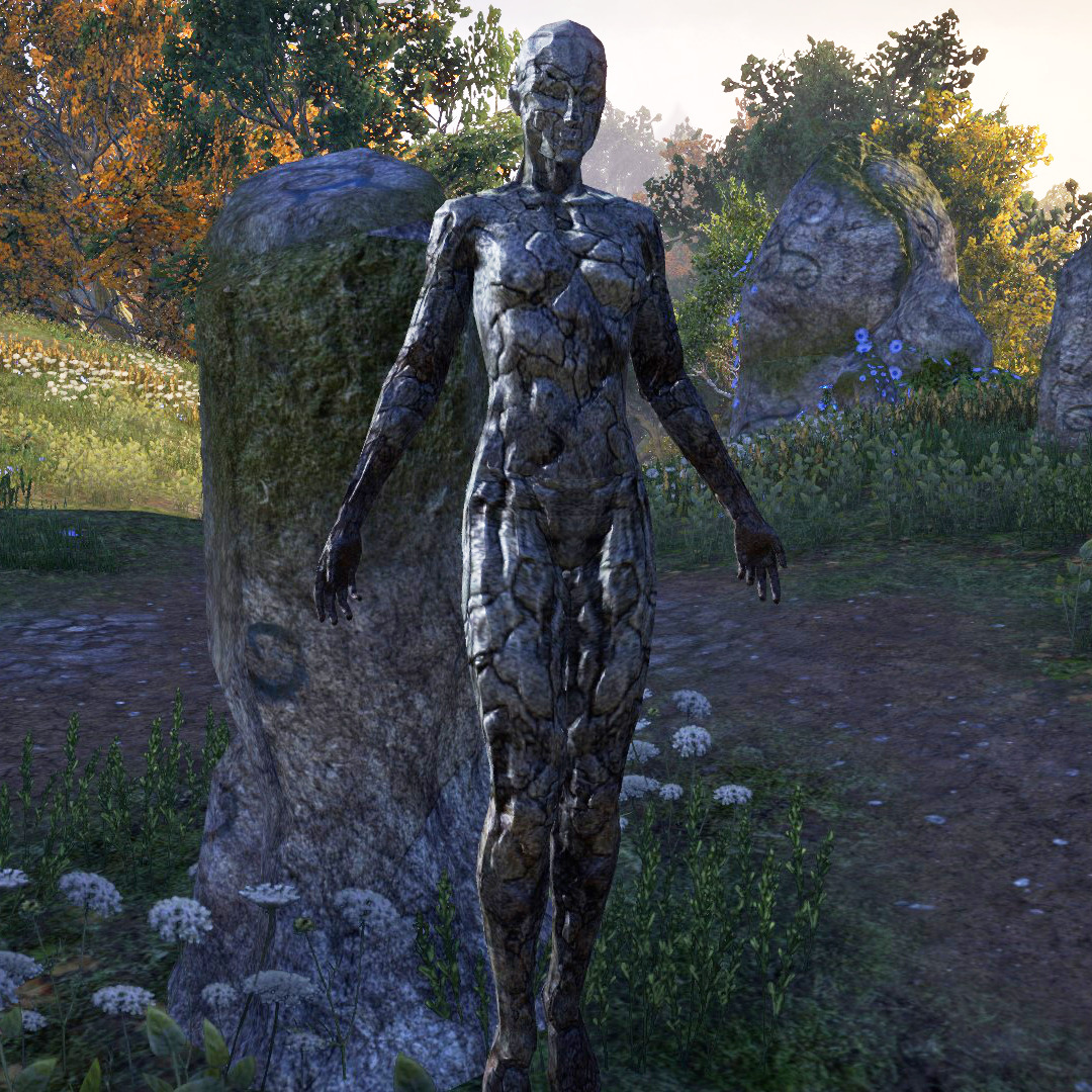 贝尔达玛命运女巫/Beldama Wyrd （上古卷轴组织） - 哔哩哔哩