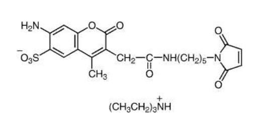 AF350-C5-马来酰亚胺，AF350-C5-Maleimide，Alexa Fluor 350 偶联物有更高的光稳定性 - 哔哩哔哩