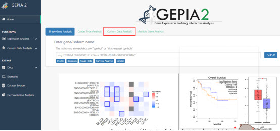 TCGA分析的数据库——GEPIA数据库的使用教程！/SCI论文/科研/研究生/生信分析热点思路 - 哔哩哔哩