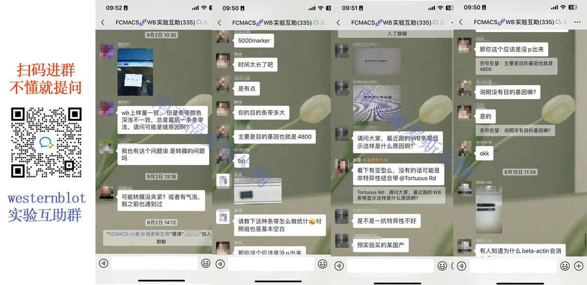 细胞因子单位IU、U、μmol、ug应该如何换算？ - 哔哩哔哩