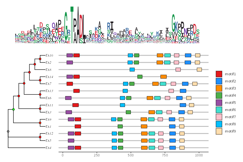 基因家族分析(2) ggplot2绘制motif分析图 - 哔哩哔哩