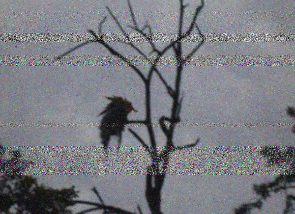 SCP-746 - 鸦天狗 - 哔哩哔哩