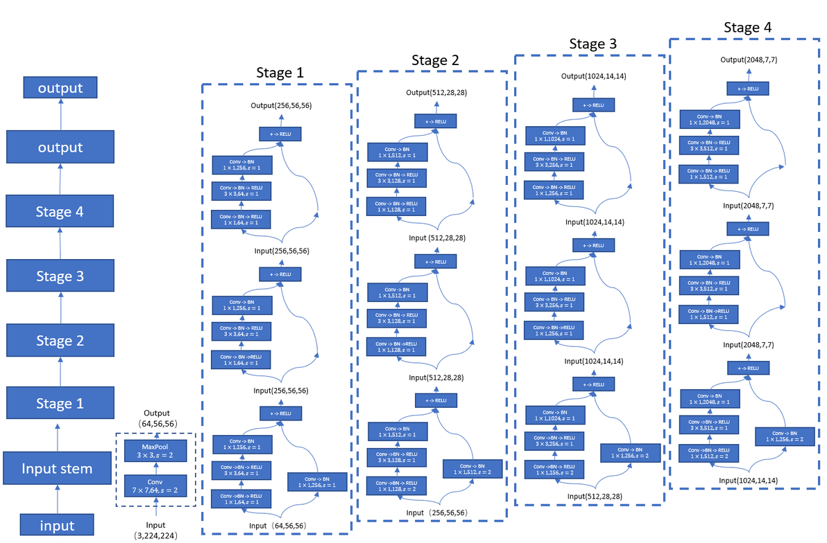 ResNet50 网络架构图 - 哔哩哔哩