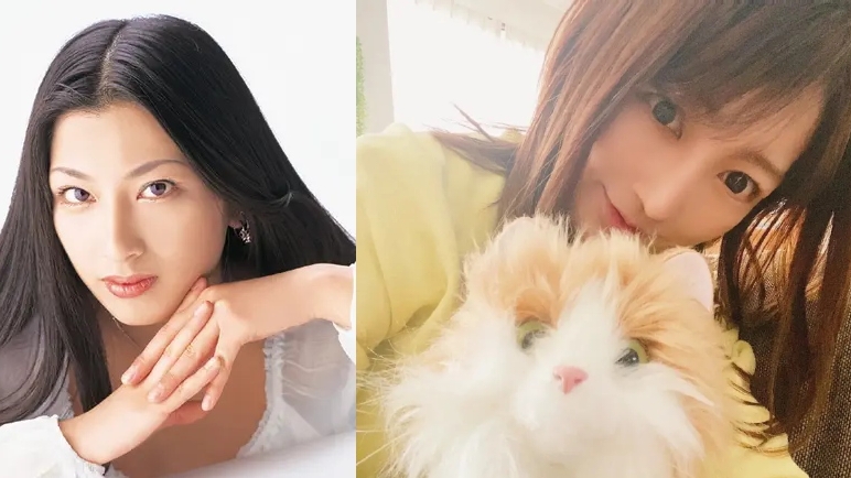 枫富爱｜更换事务所C-More（S1早安女神们，小桃增肥，日下部佳奈，柠檬，辣个女人等） - 哔哩哔哩