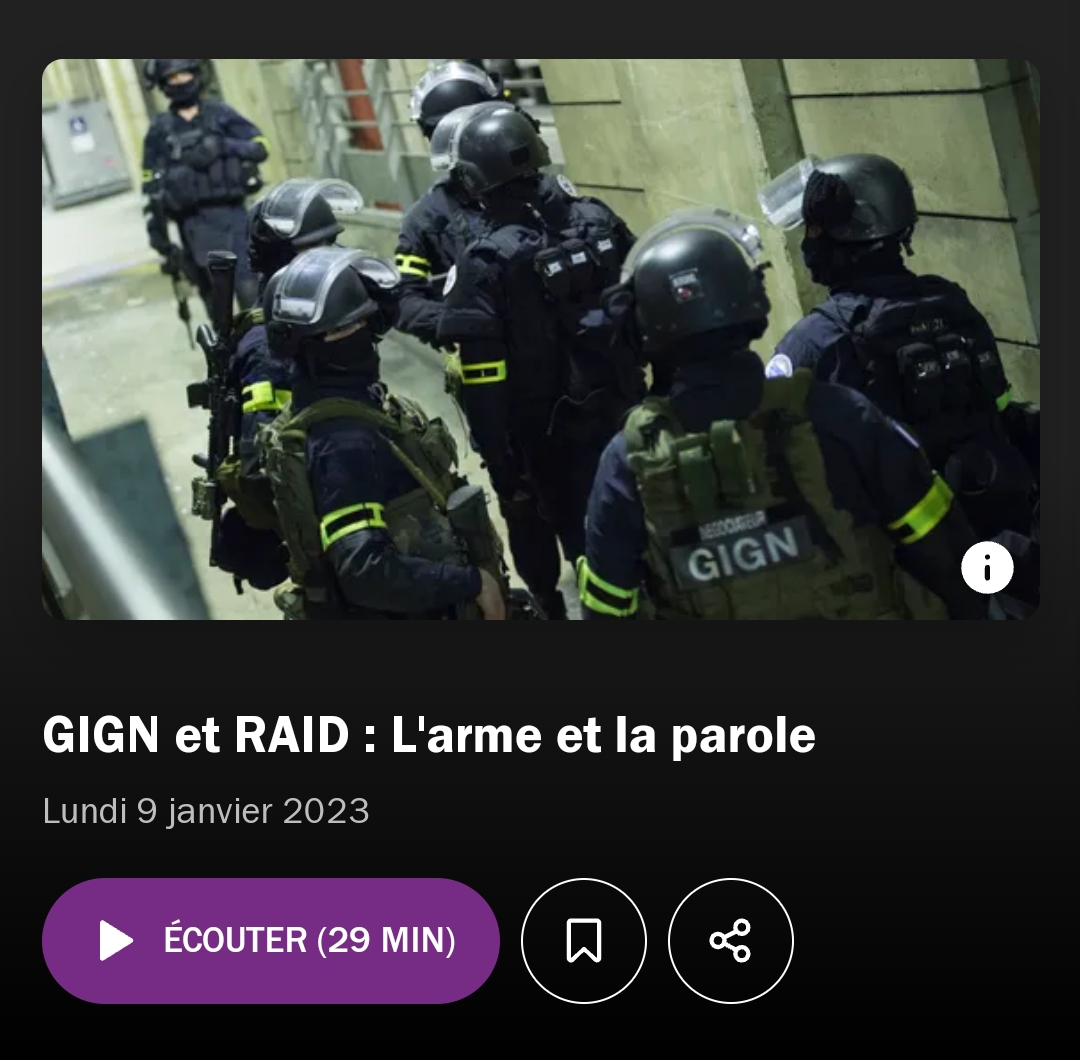 【中字/Radiofrance采访】GIGN et RAID : L'arme et la parole - 哔哩哔哩