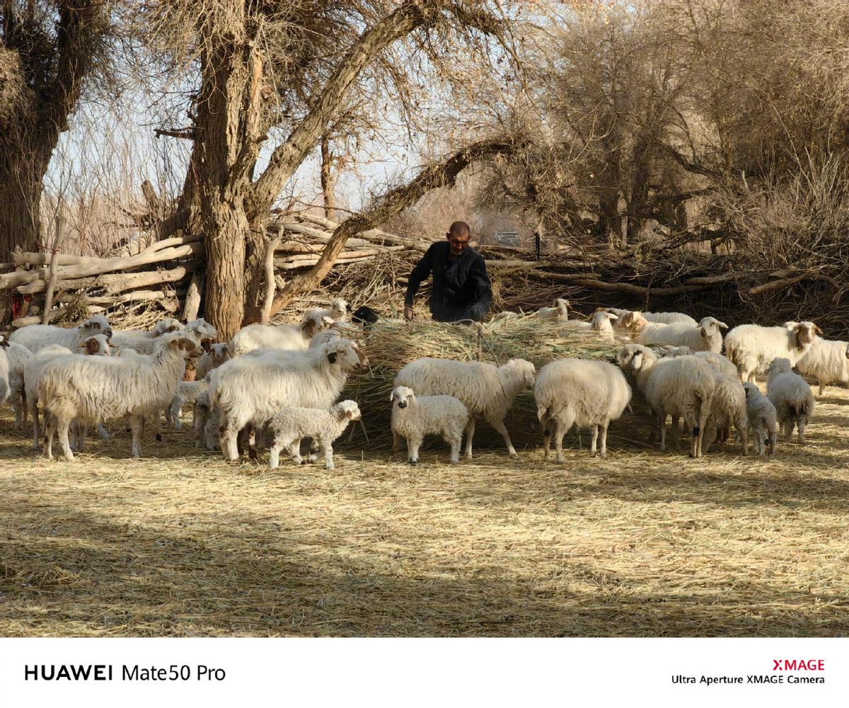 618换机没头绪？华为Mate50系列最高优惠800元，实力超群闭眼入 - 哔哩哔哩