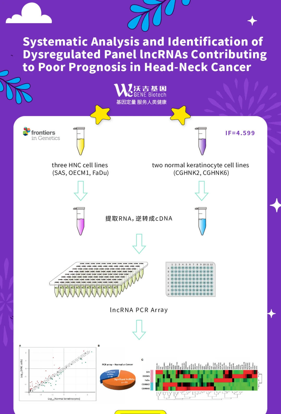 学到了!lncrna筛选不是只有测序还有pcr Array呀! 哔哩哔哩